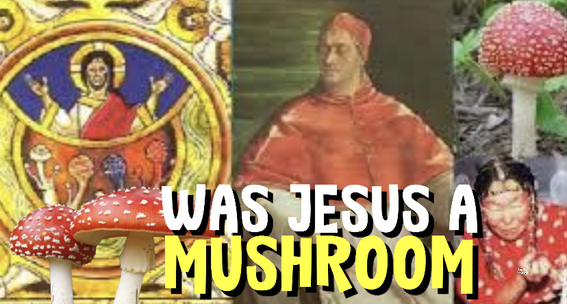 🍄WAS JESUS A MAGIC MUSHROOM IN ANCIENT TIMES?🔺 – Colin Rivas TV